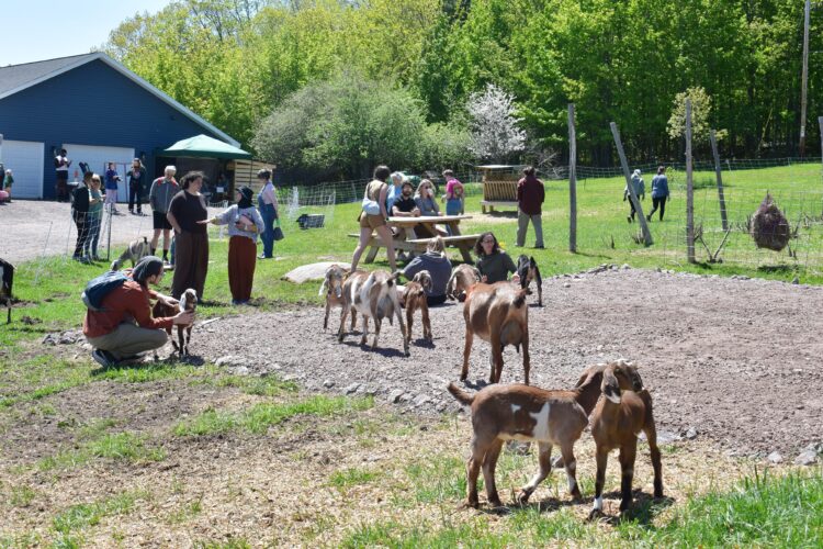 Down on the farm | News, Sports, Jobs - The Mining Gazette
